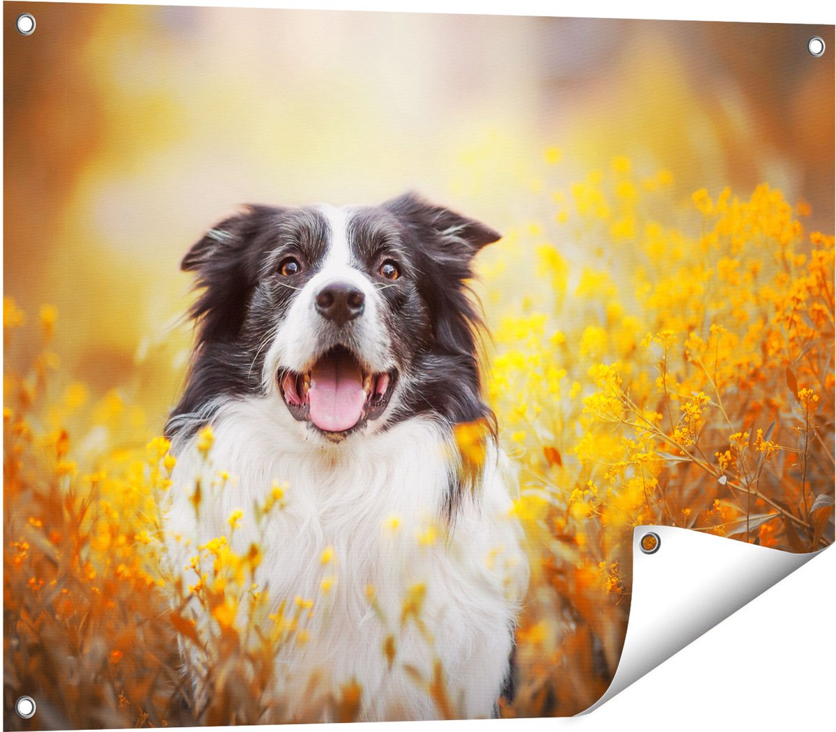 Gards Tuinposter Blije Hond tussen de Bloemen - 80x60 cm - Tuindoek ...
