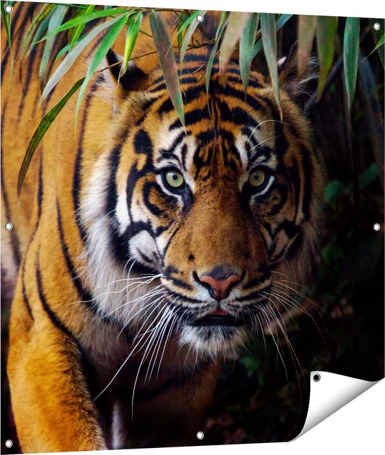 Gards Tuinposter Tijger in de Jungle - 100x100 cm - Tuindoek - Tuindecoratie -... | bol