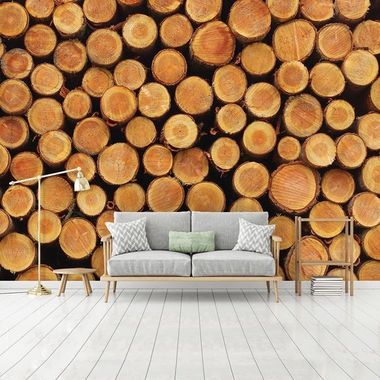 Fotobehang - Vlies Behang - Boomstammen - 104 x 70,5 cm | bol