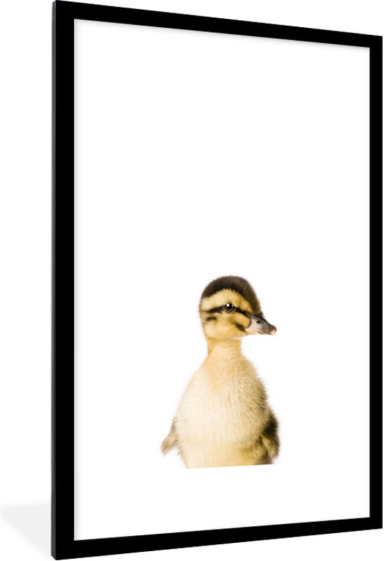 Fotolijst incl. Poster - Eend - Geel - Dieren - Natuur - 60x90 cm ...