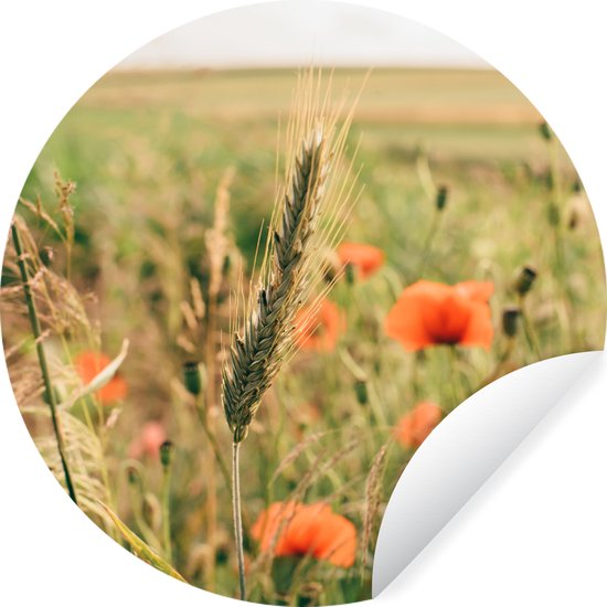 WallCircle - Muurstickers - Behangcirkel - Riet - Bloemen - Natuur - 30x30 cm -... | bol.com
