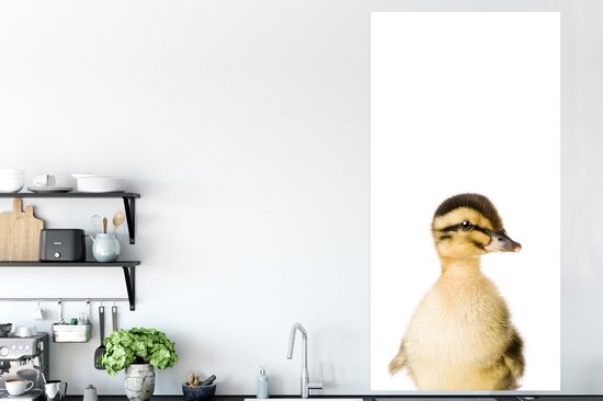 Eend - Geel - Dieren - Natuur | bol.com