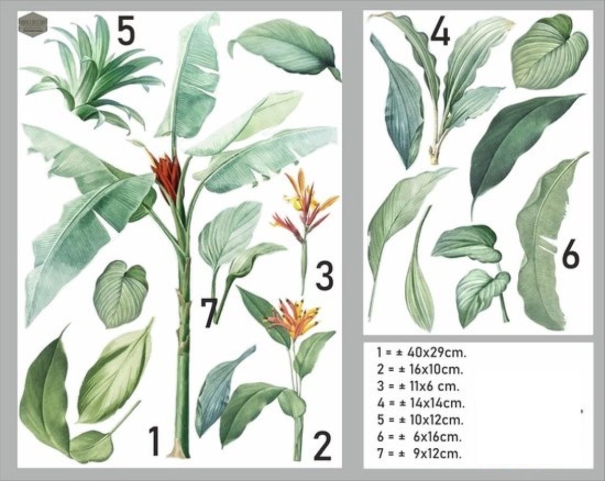 Planten bladeren muur-, meubelsticker set 18 planten stickers. | bol.com