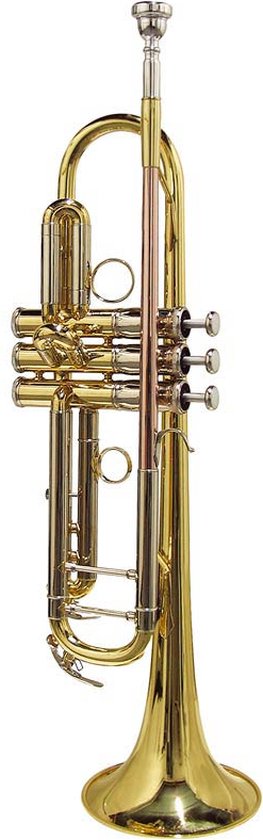 Stewart Ellis SE-2400-L Pro Series trompet goudlak incl. softcase | bol