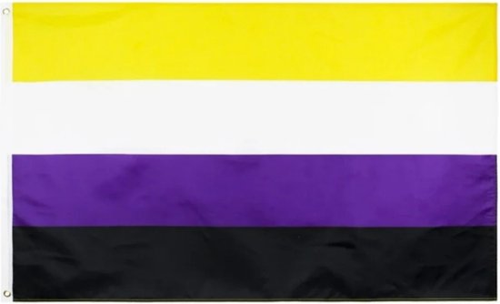 Non-binaire LGBT Pride Vlag 90x150CM | bol.com