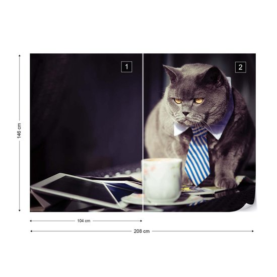 Fotobehang - Vlies Behang - Zwarte Zakenman Kat - 208 x 146 cm | bol.com