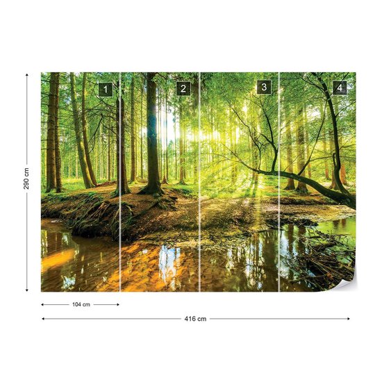 Fotobehangkoning - Fotobehang - Vliesbehang - Behang - Zonnestralen in ...