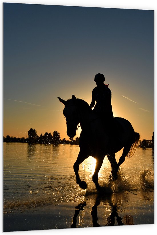 PVC Schuimplaat- Silhouet van Ruiter op Paard rennend door Zeewater ...
