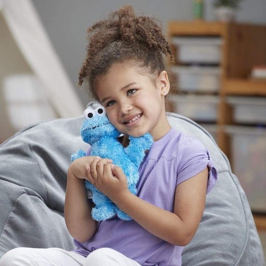 Cookie Monster Harig Sesamstraat Pluche Knuffel 24 cm {Sesamestreet ...