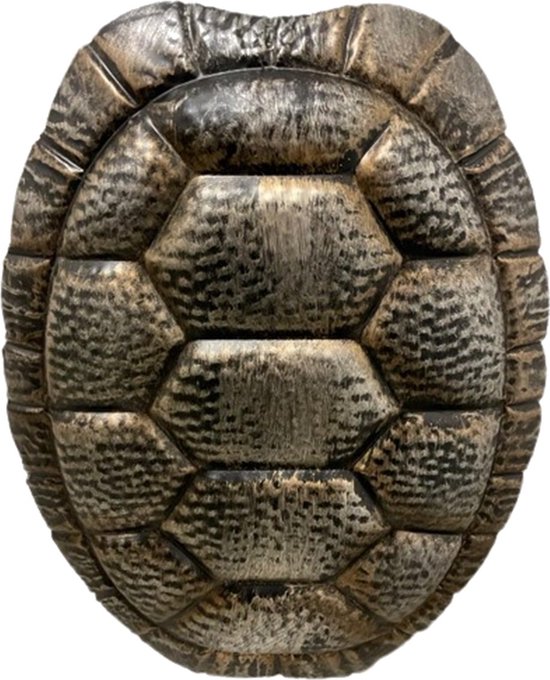 Deco4yourhome® - Schildpad - Wanddecoratie - Schildpad Schild - 54cm | bol