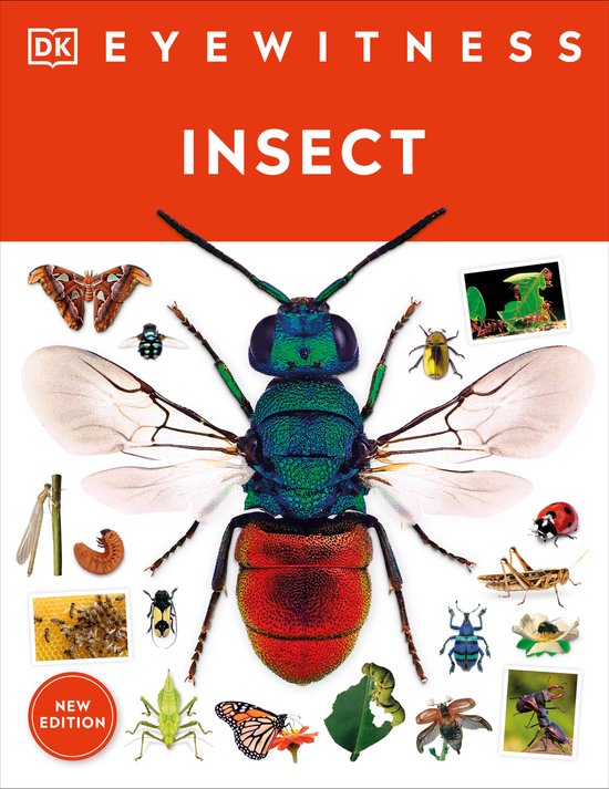 DK Eyewitness- Eyewitness Insect | 9780744081565 | Boeken | bol.com DK Eyewitness- Eyewitness Insect | 9780744081565 | Boeken | bol.com