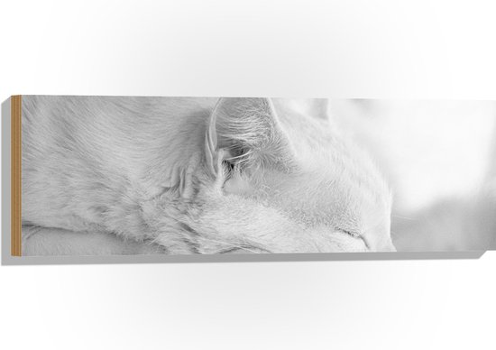 Hout - Slapende Kat (zwart- wit) - 90x30 cm - 9 mm dik - Foto op Hout ...