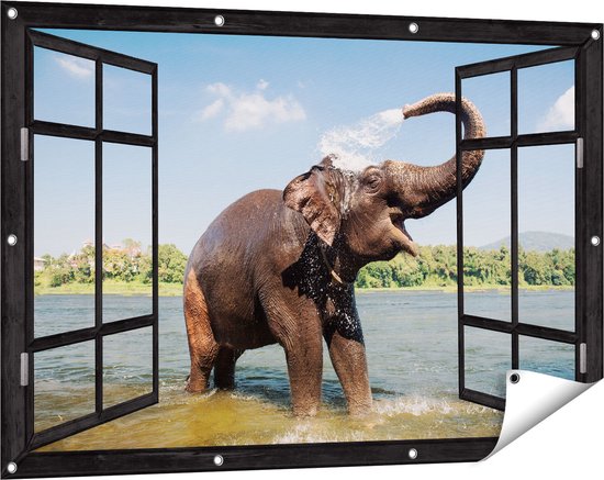 Gars Affiche jardin Transparente Éléphant heureux dans l' Water ...