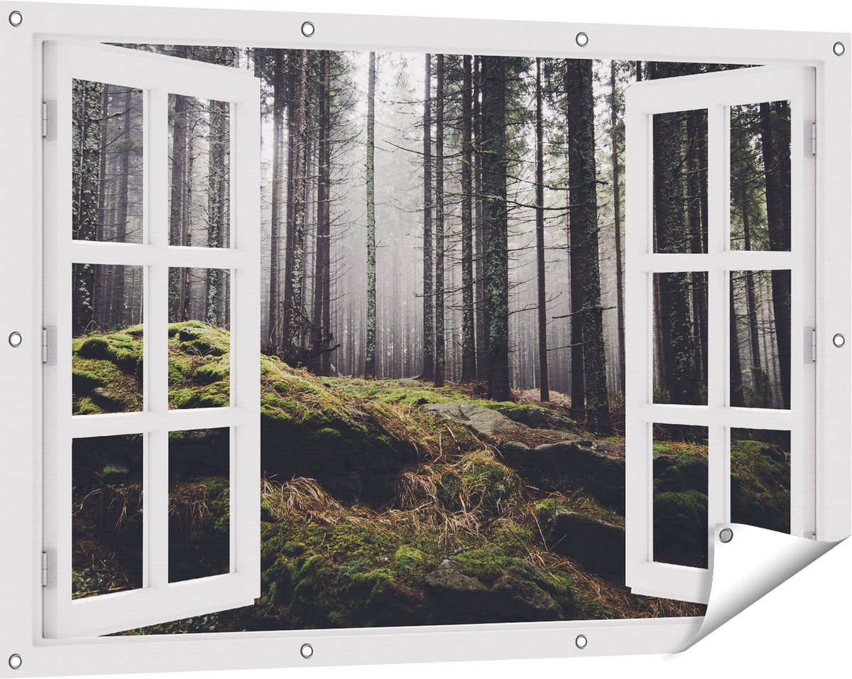 Affiche de jardin du Gards Forêt transparente avec mousse sur rochers ...