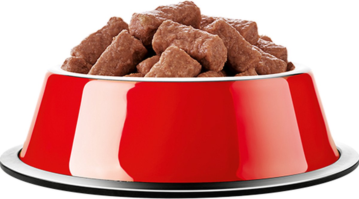 Reno hondenvoer - hondenbrokken in saus met rund - 6 x 1240g | bol