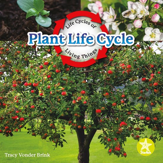 Life Cycles of Living Things - Plant Life Cycle (ebook), Tracy Vonder ...
