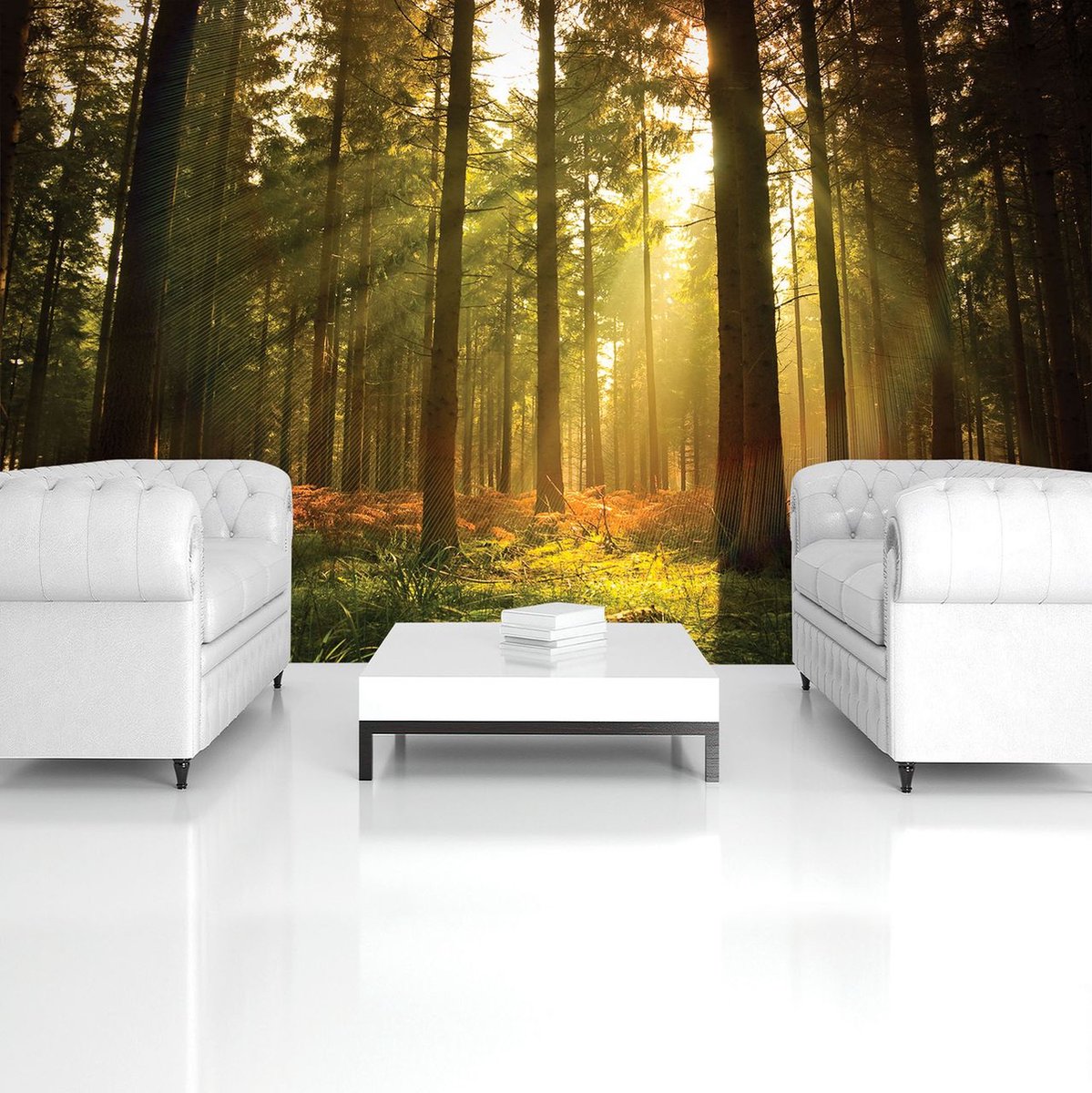 Fotobehang - Vlies Behang - Bos in de Zon - 254 x 184 cm | bol.com