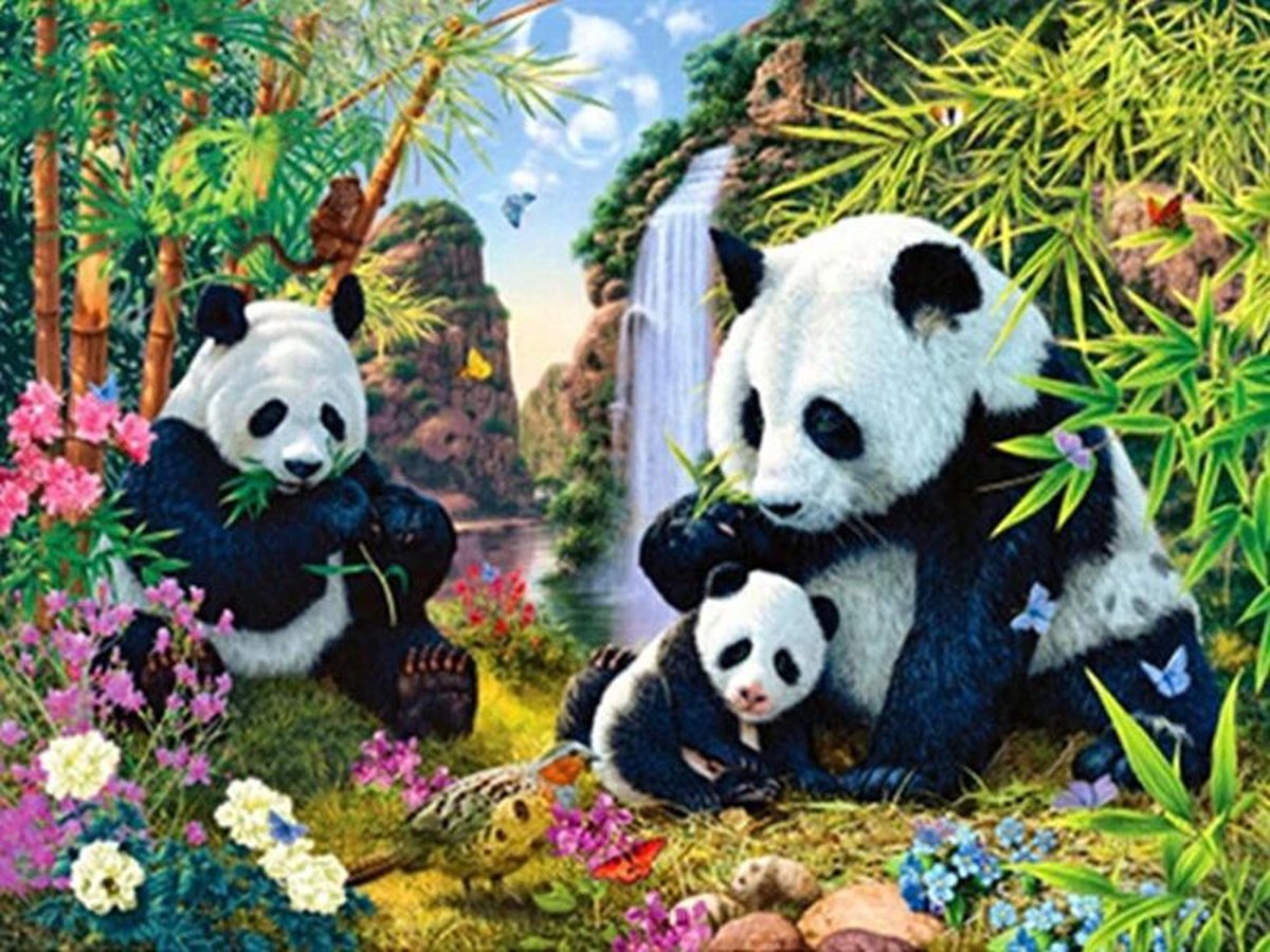 Diamond Painting 30x40 Panda Beren - Pakket voor Volwassen en Kinderen ...