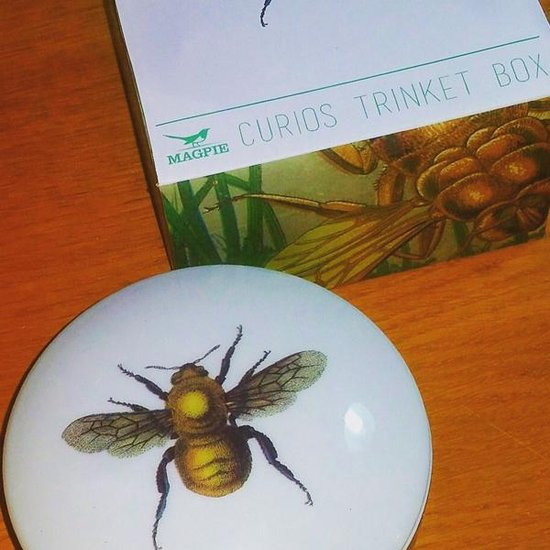 Cubic Magpie Trinket box | bol.com