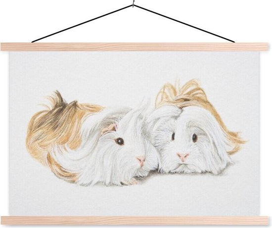 illustration d'affiche scolaire cochon d'inde poil long lamelles plates ...