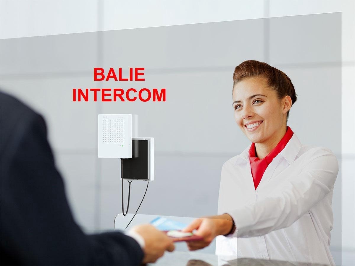 WHD VoiceBridge Loket-intercom / Balie-intercom / Bezoekers-intercom ...