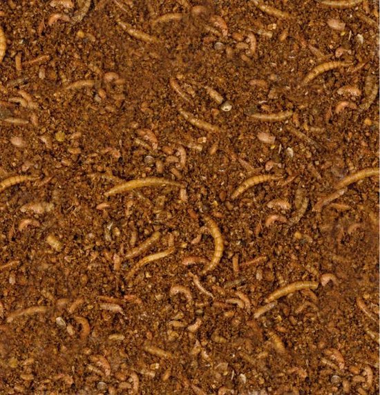 Avian Insectenpaté | bol