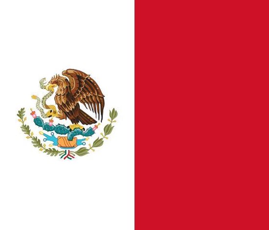 Vlag Mexico 70x100cm - Spunpoly | bol.com