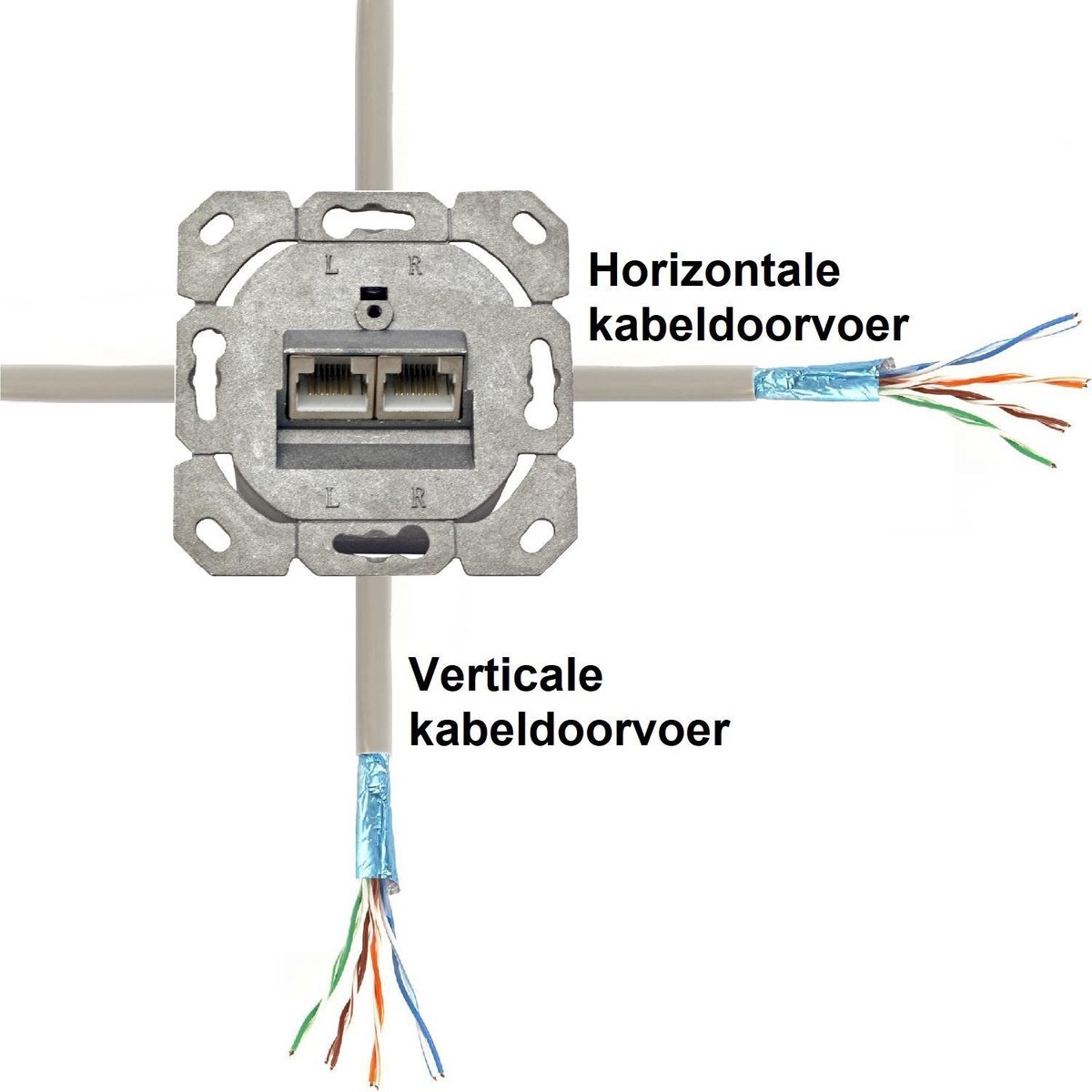 Premium CAT6 Gigabit netwerk opbouw wandcontactdoos met 2 RJ45 poorten ...