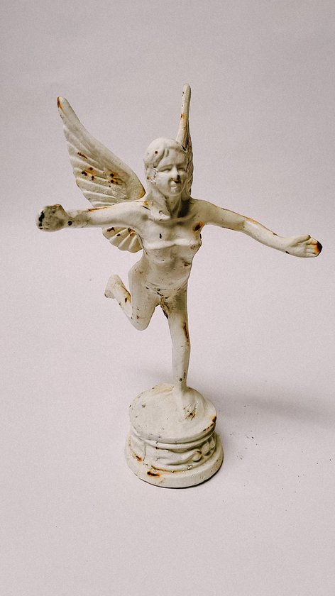 Tuinbeeld - tuindecoratie - beeld - engel - wit - gietijzer | bol.com