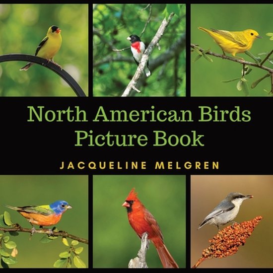 North American Birds Picture Book, Jacqueline Melgren | 9789189452398 ...