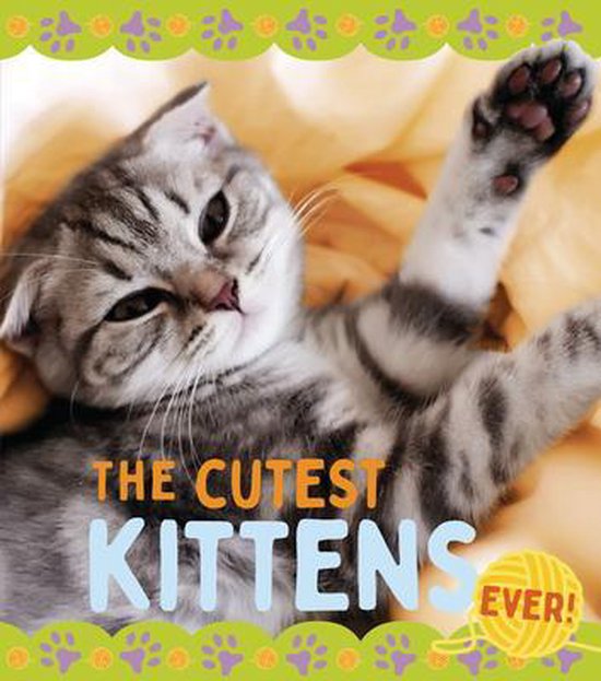 Awesome Kittens The Cutest Kittens Nancy Dickmann 9780711272125