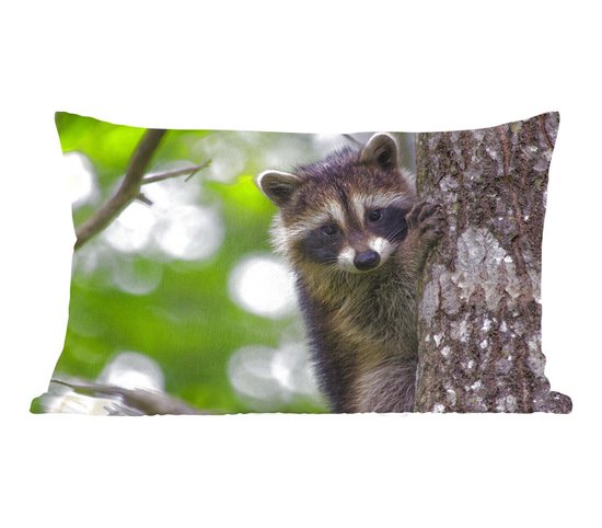 Sierkussen Wasbeer voor binnen - Baby wasbeer - 50x30 cm - rechthoekig ...