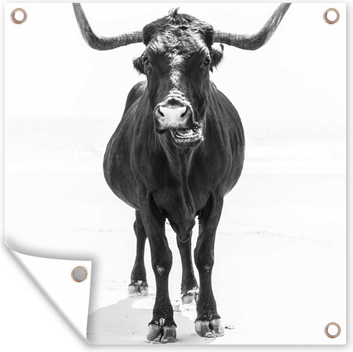 Tuin poster Een zwarte stier met grote hoorns op een witte achtergrond ...