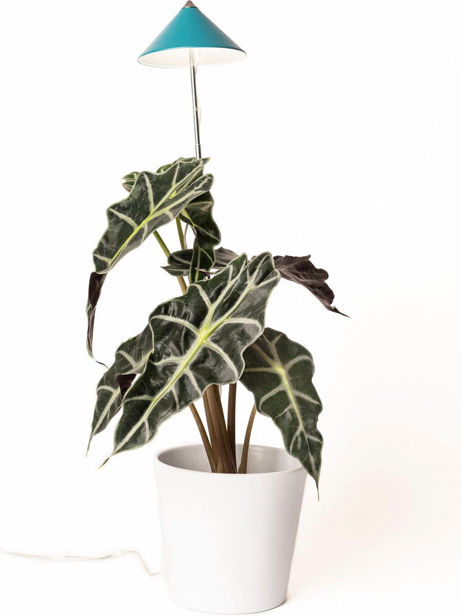 Parus by Venso SUNLiTE Kweeklamp 7W petrol blauw groen, LED groeilamp ...