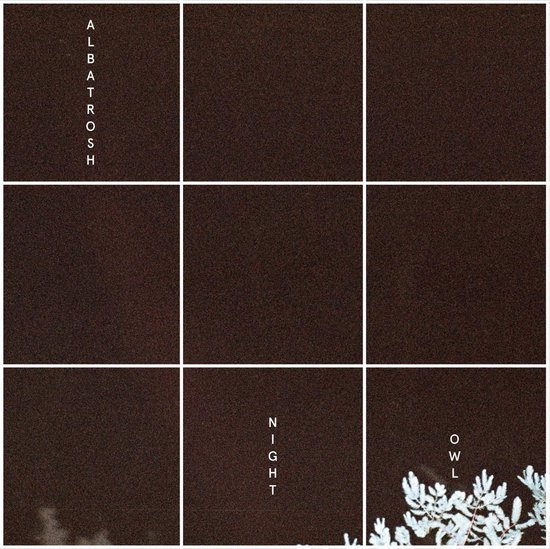 Night Owl, Albatrosh | CD (album) | Muziek | bol.com