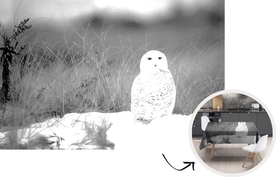 Tafelkleed - Tafellaken - 220x150 cm - Sneeuwuil in de sneeuw tussen ...