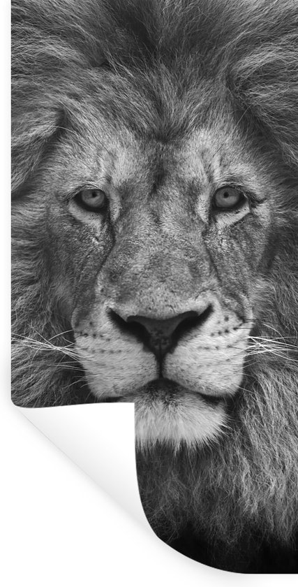 Muurstickers - Sticker Folie - Leeuw - Zwart - Potret - 40x80 cm - Plakfolie -... | bol