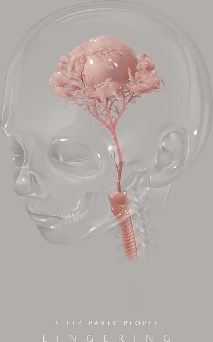 Sleep Party People - Lingering (LP), Sleep Party People | LP (album ...