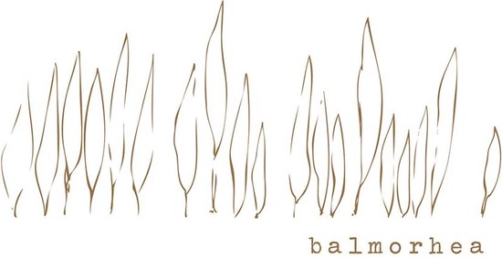Balmorhea - Balmorhea (LP), Balmorhea | LP (album) | Muziek | bol