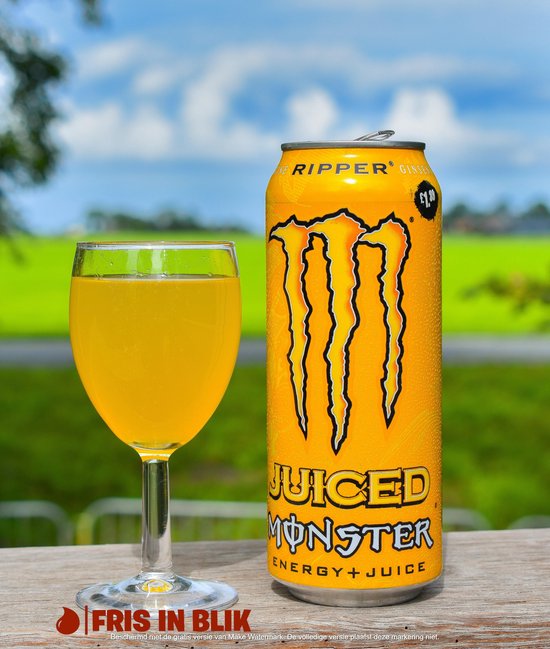 Monster Ripper 500ML | bol.com