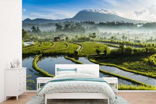 Behang - Fotobehang Rijstvelden op Bali - Breedte 360 cm x hoogte 240 ...