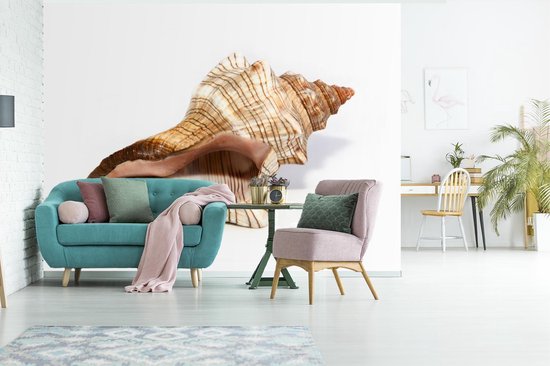Behang - Fotobehang Schelp - Wit - Zee - Breedte 400 cm x hoogte 300 cm ...