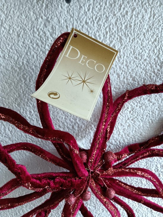 Kerst bloem rood | bol