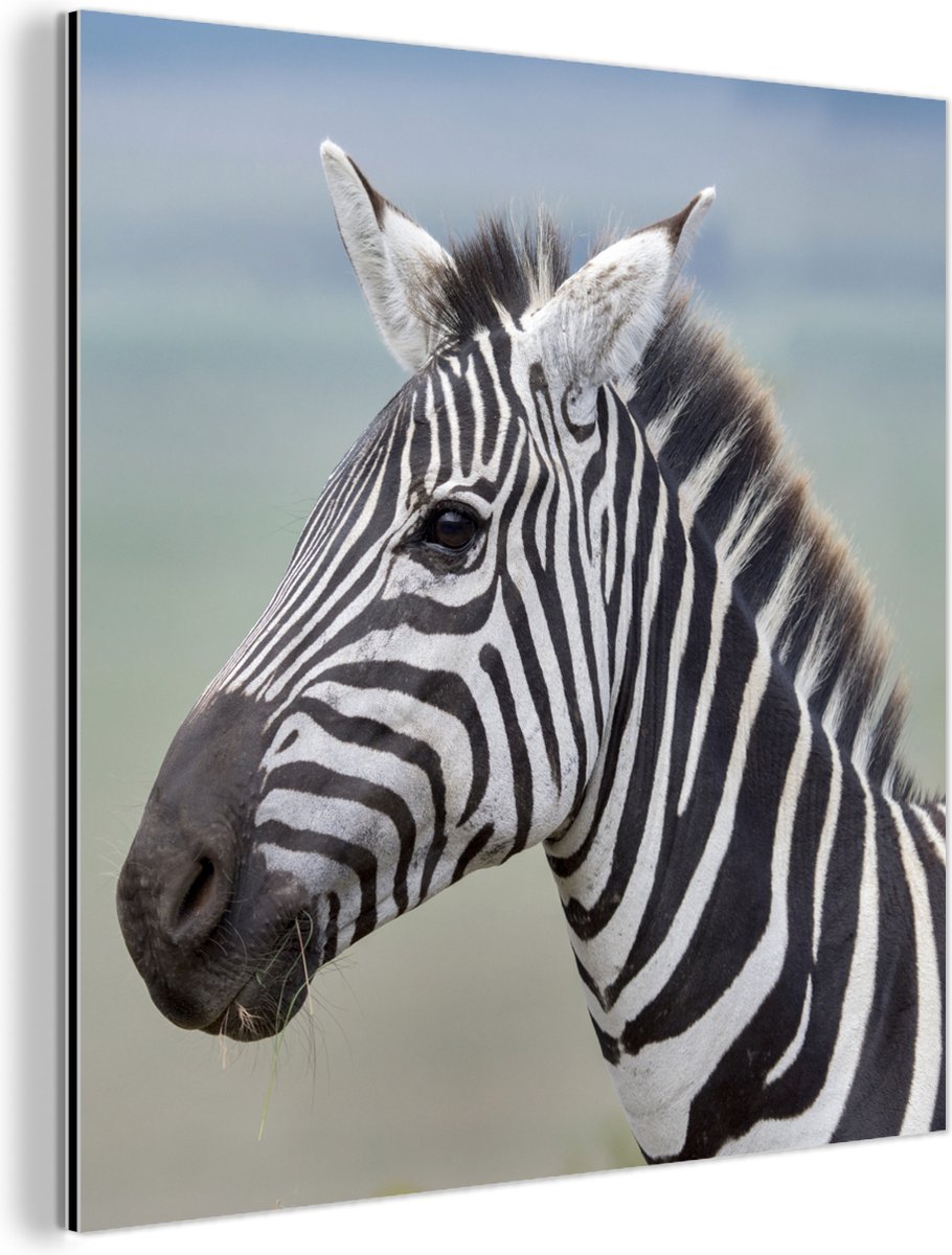 Décoration murale Métal - Peinture Aluminium Industriel - Zebra plan ...