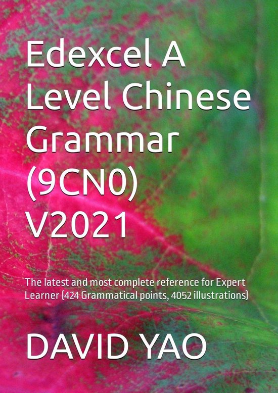 Edexcel A Level Chinese Grammar (9CN0) V2021 国际中文考试精通级语法 (ebook), David ...