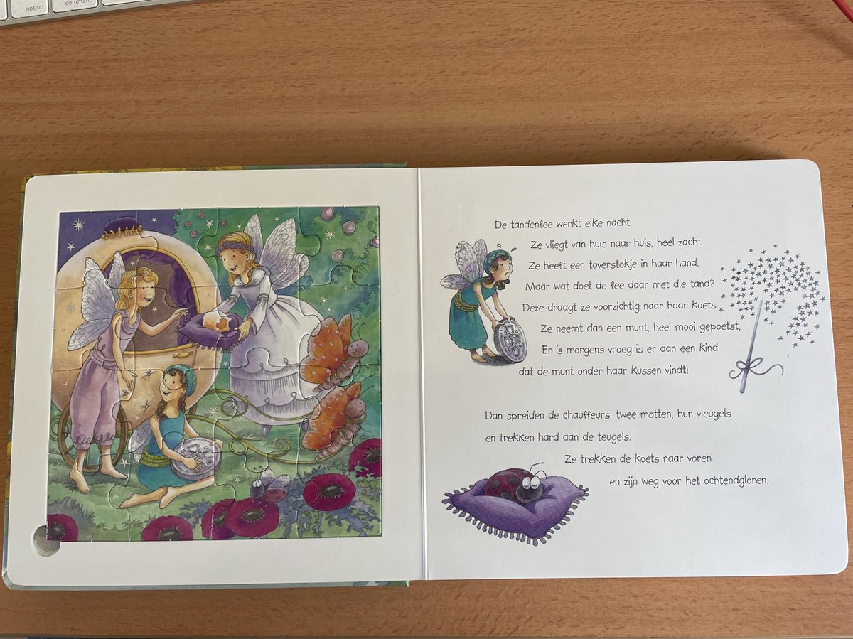 Het feest van de feeën - Boek, Alison Atkins | 9789039621356 | Boeken ...