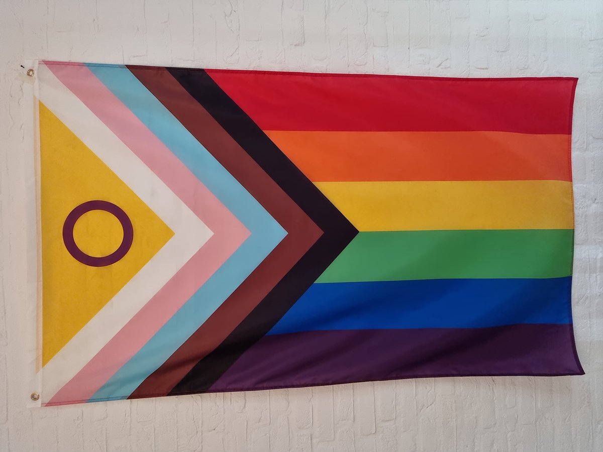 Intersex progress vlag - 90x150 - Intersex progress flag - Intersekse progress vlag | bol.com