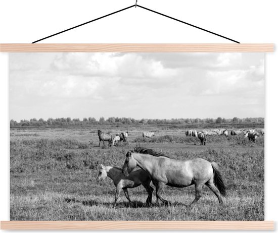 Schoolplaat - Groepen paarden in het Lauwersmeer gebied - zwart wit ...