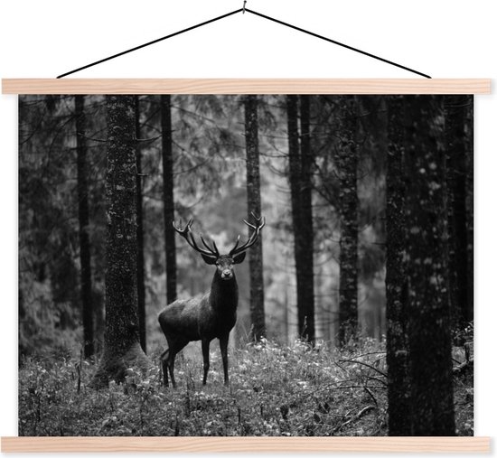 Posterhanger incl. Poster - Schoolplaat - Edelhert in het bos - zwart ...