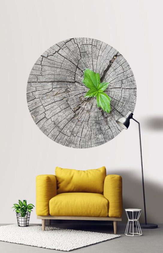 Behangcirkel doorsnede boomstam | ⌀ 120 cm | Wandecoratie | Wandcirkel ...